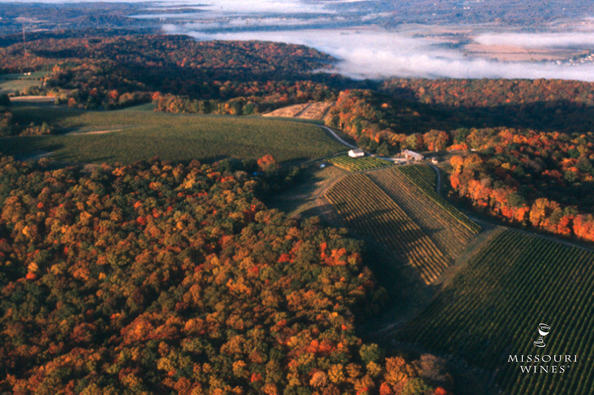 Photo Galleries | MO Wines